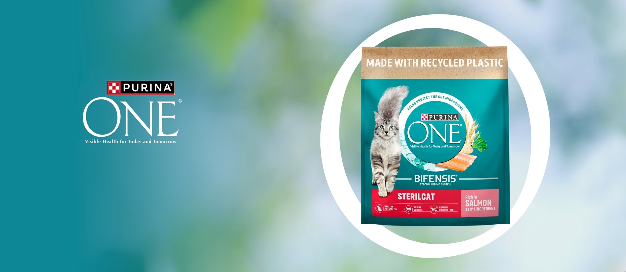 Estrutura De Purina Numerada